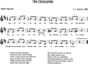 The Caterpillar Beth's Notes Songs + Resources
