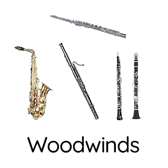 Woodwind Family Beth's Notes Songs & Resources